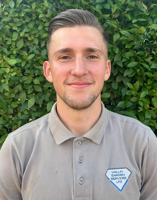 Landscaping Hampshire | Garden Design Portsmouth | Hallin Garden ...